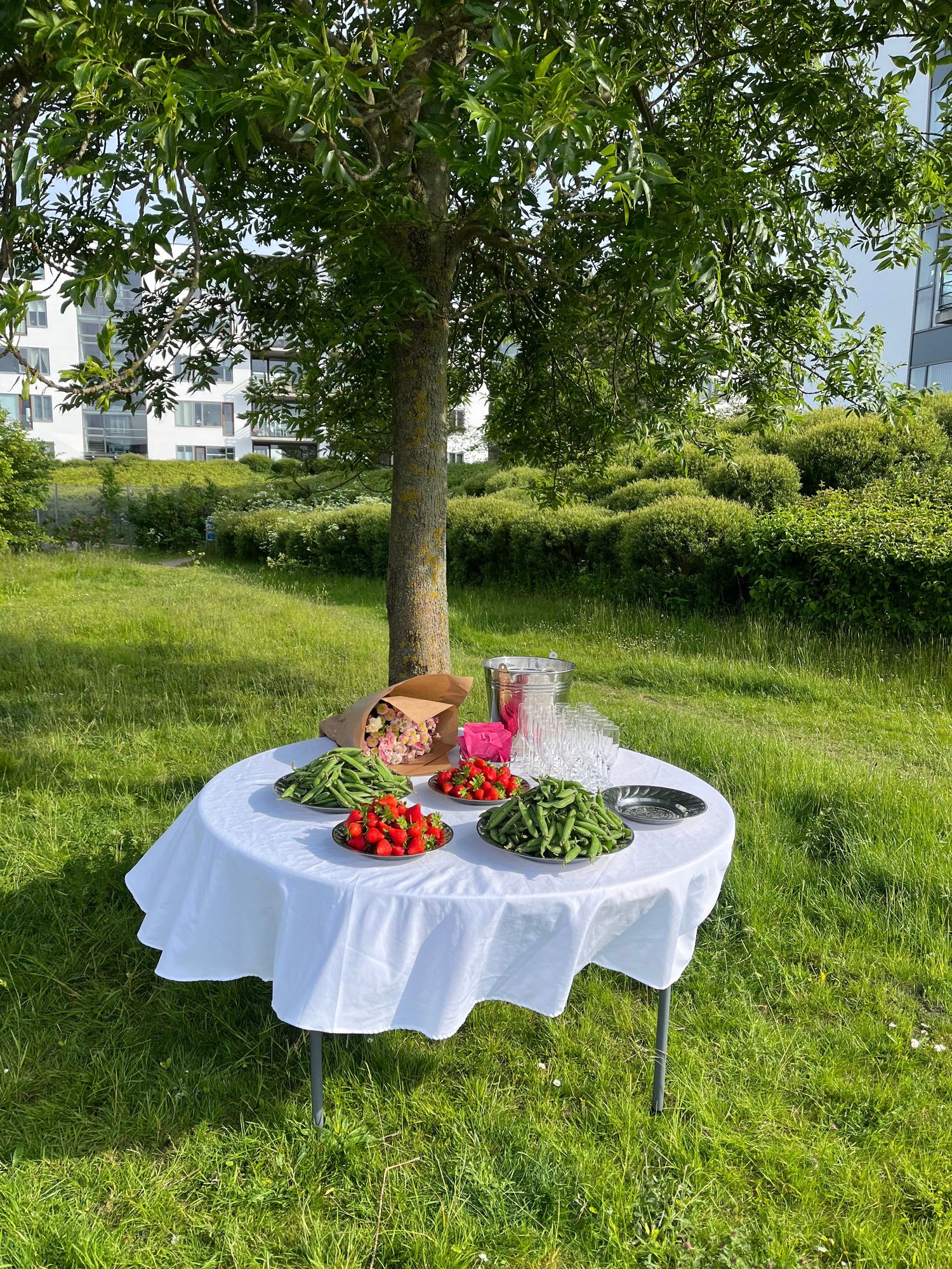 Karoline Hamm takes Vogue Scandinavia to the premiere of 'Pretty Young ...