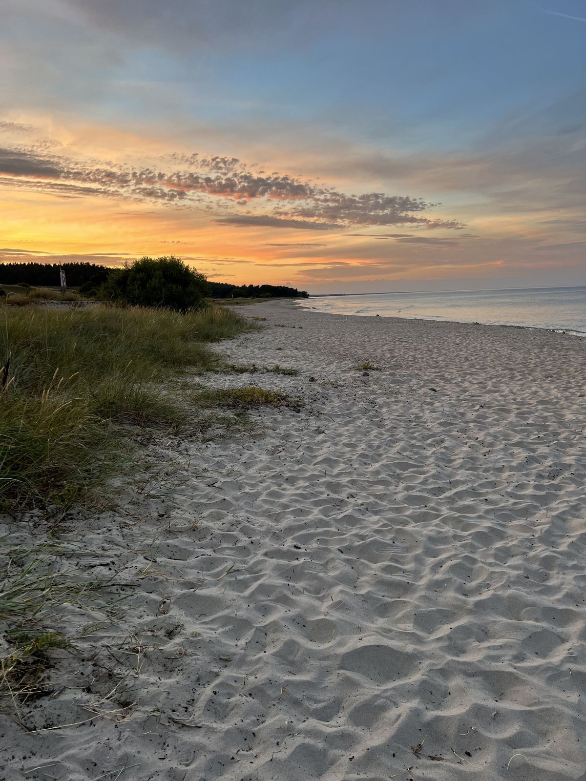 The 5 best beaches to visit in Sweden, according to the fashion crowd ...