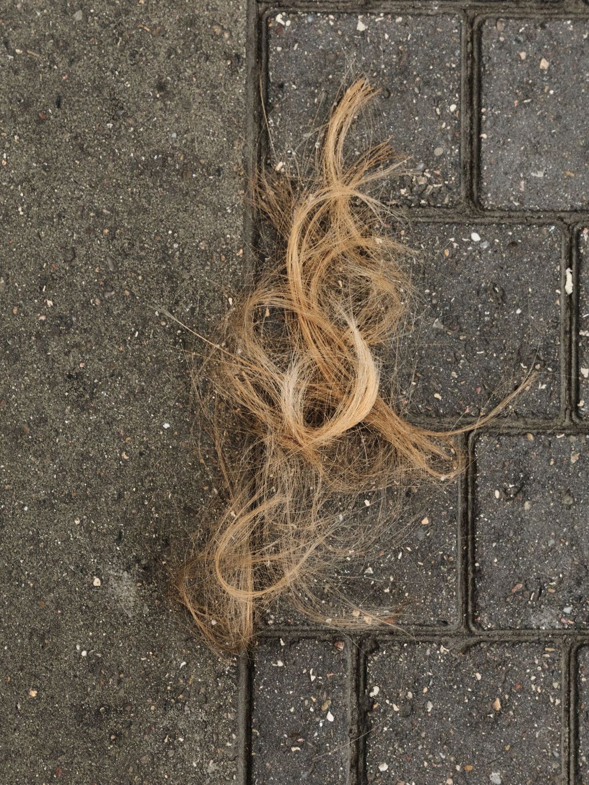 Exclusive: How to give your hair the 'AI edge' of this season's 'Ganni ...