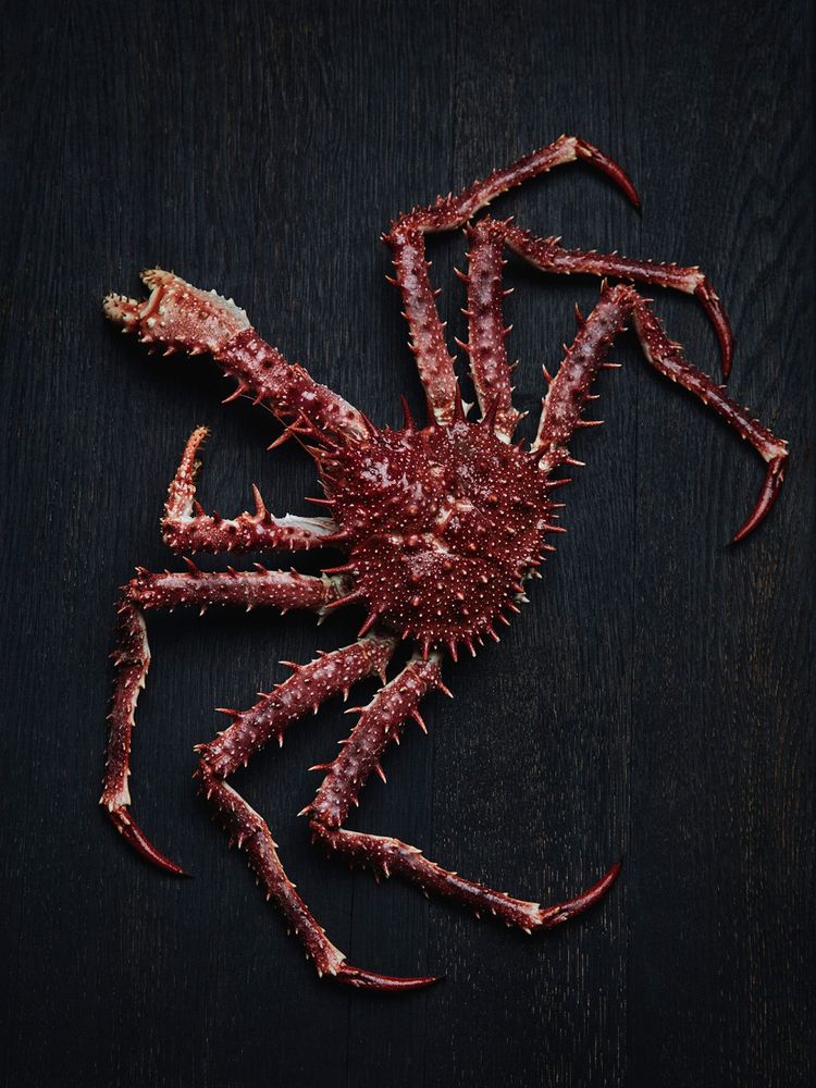 Dining takes a dive at Norway's 'Under': Europe's first-ever underwater ...