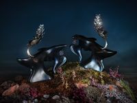 James Merry launches a capsule jewellery collection at London's Dover ...