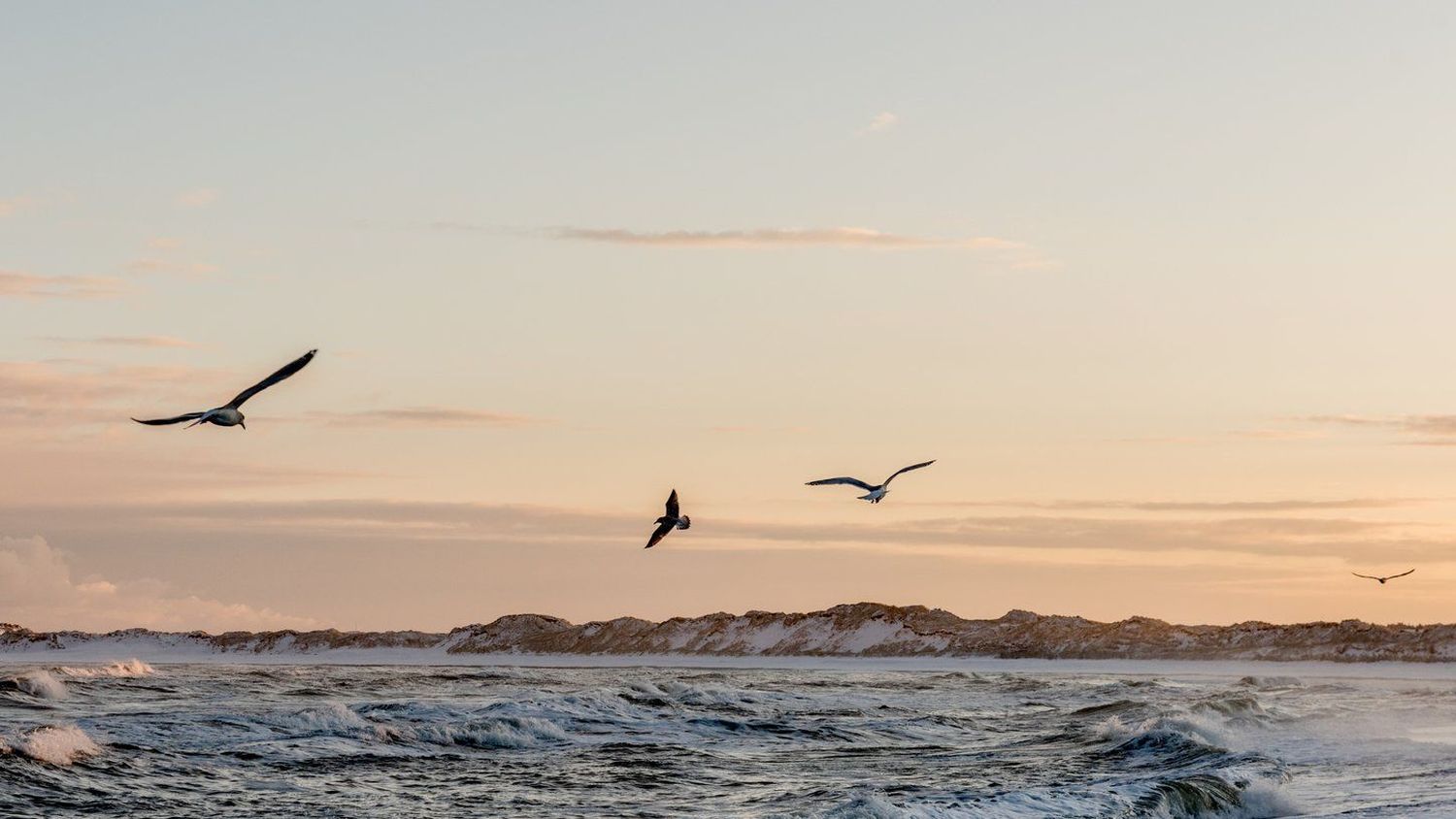 What to do during winter in Denmark - Vogue Scandinavia