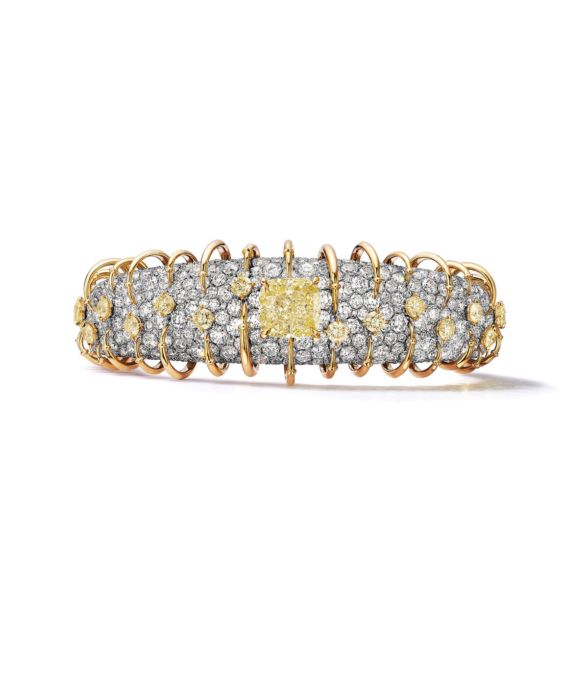 The 5 things to know about Tiffany & Co.’s 2024 High Jewellery ...