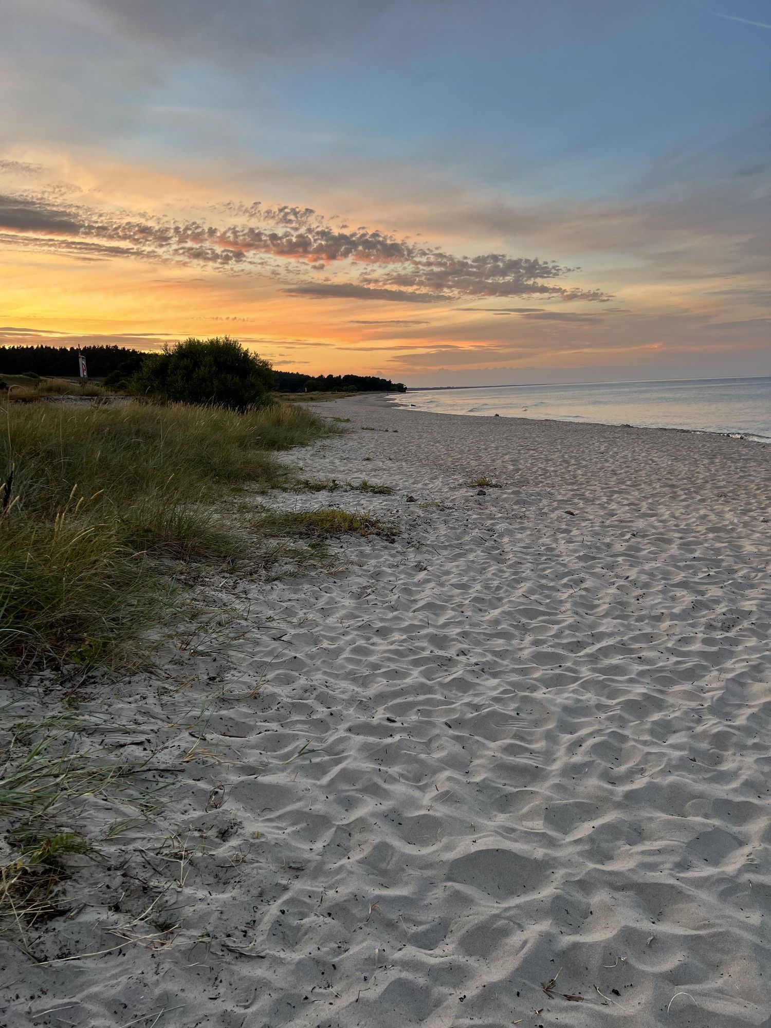 The 5 best beaches to visit in Sweden, according to the fashion crowd ...