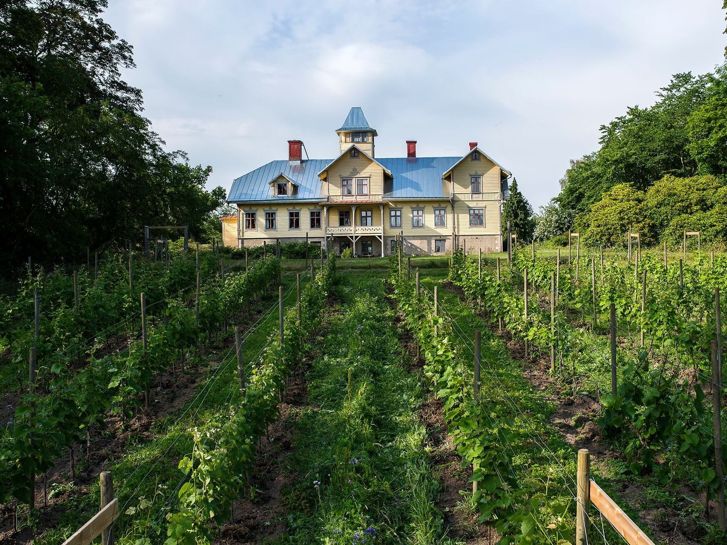The 10 best Swedish vineyards to visit this summer - Vogue Scandinavia