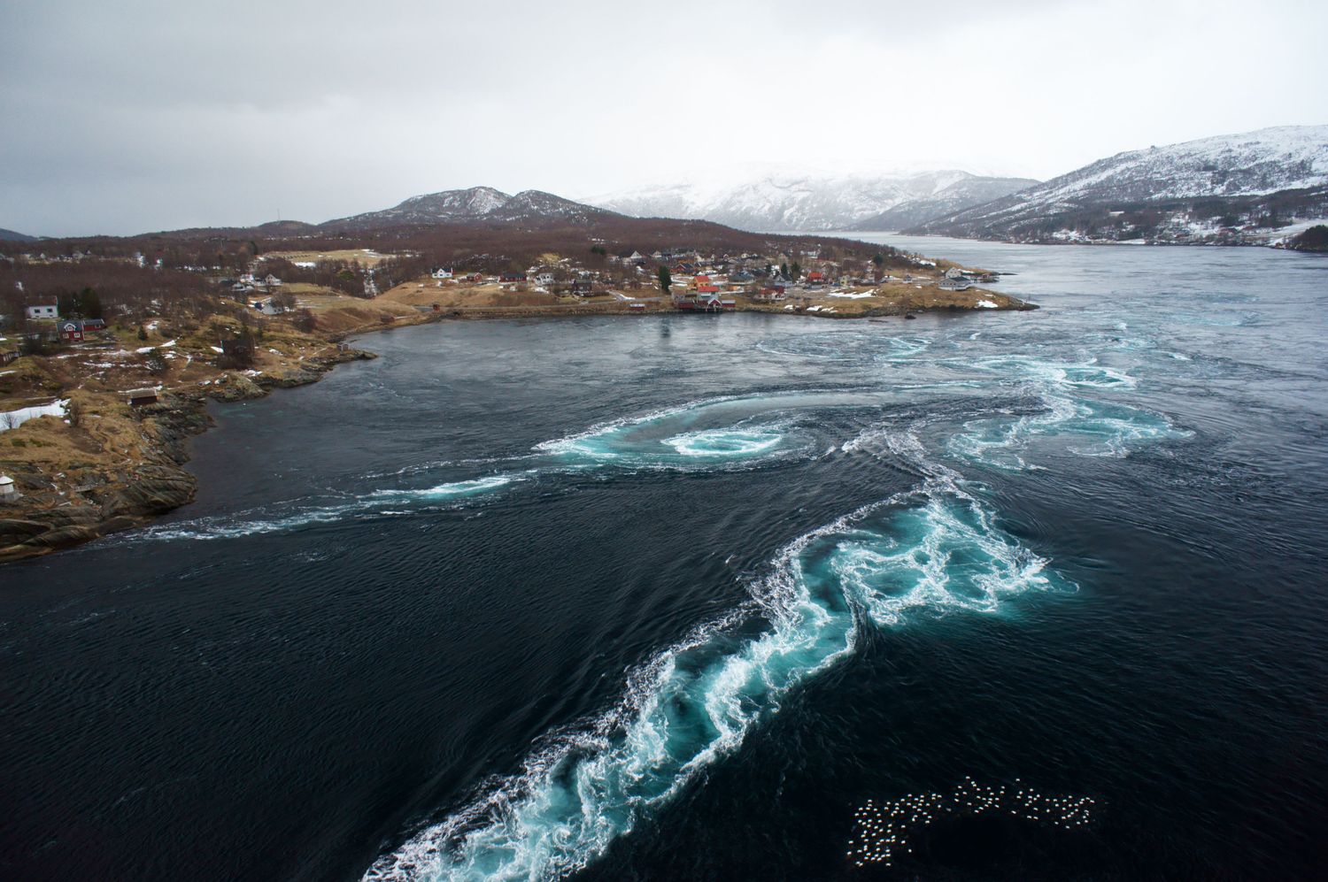 The 7 best places to dive in Scandinavia: Silfra, Lillebælt, Lake ...