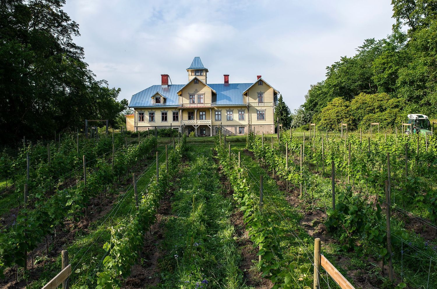 10 beautiful Swedish wineries to visit this summer - Vogue Scandinavia