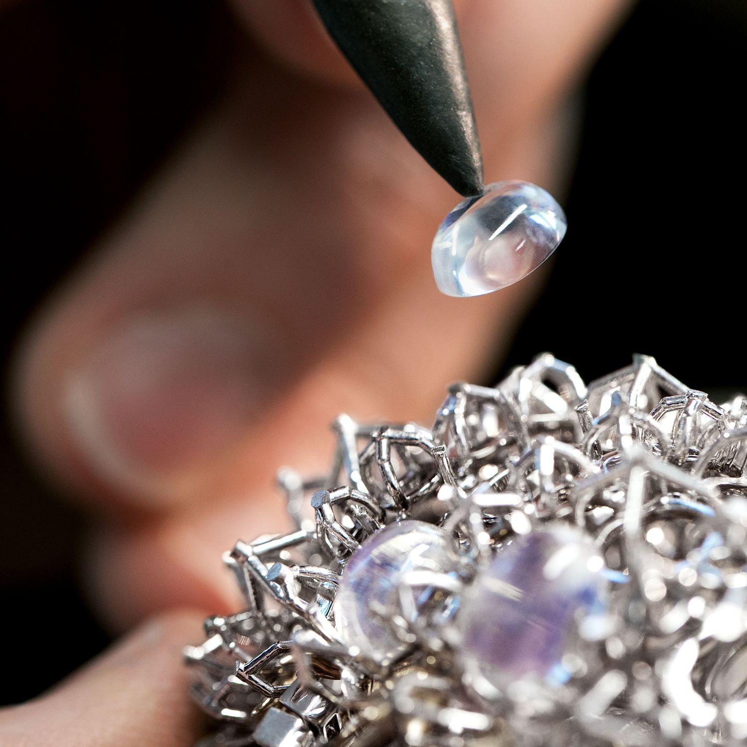 Tiffany & Co.'s latest High Jewellery collection dives into the aquatic ...