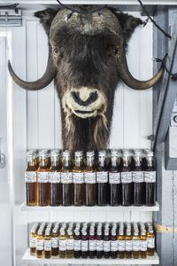 Greenland gastronomy: Your guide to the wildest food in the world ...