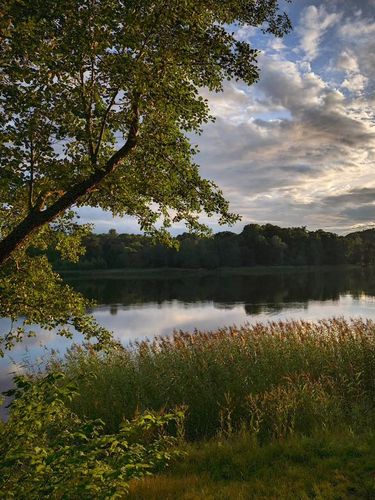 The 3 best locations to swim near Stockholm - Vogue Scandinavia