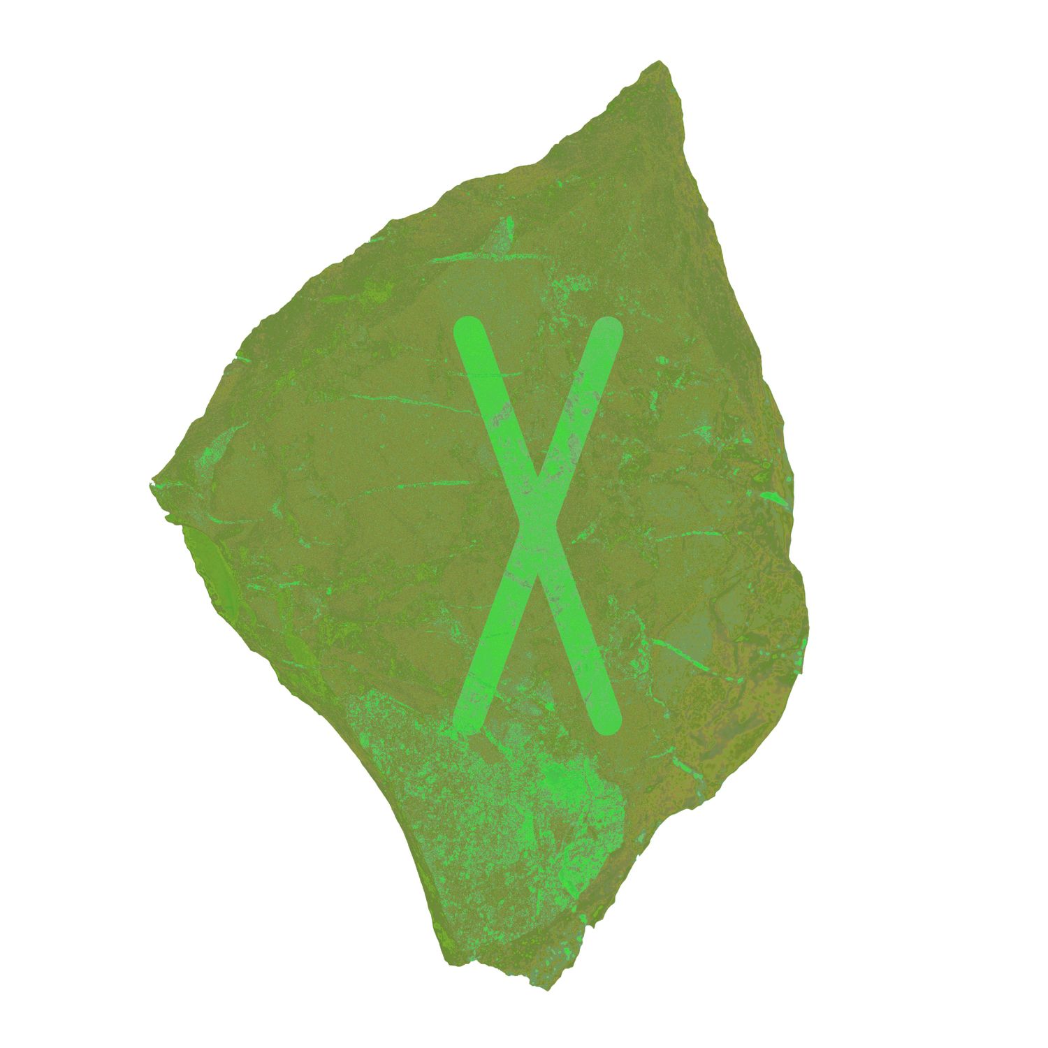 Runic Astrology July 24 - July 30: What do the runes have in store for ...