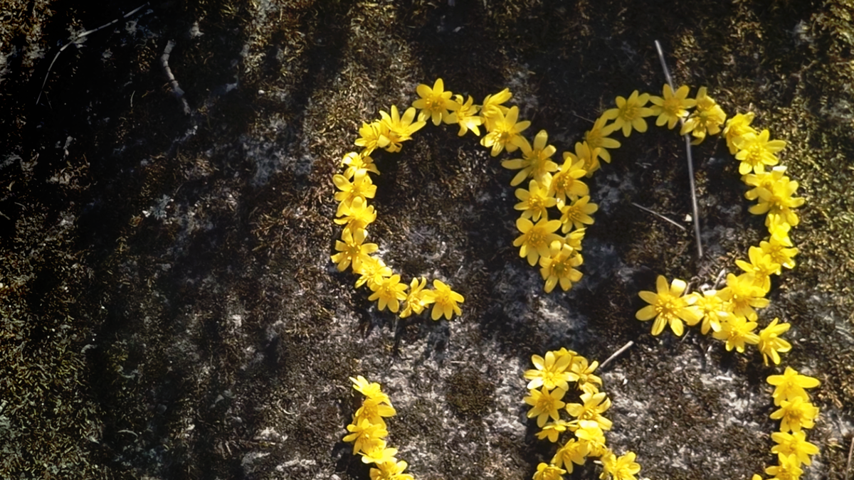 Filippa K rings in 30 years with a new monogram - Vogue Scandinavia