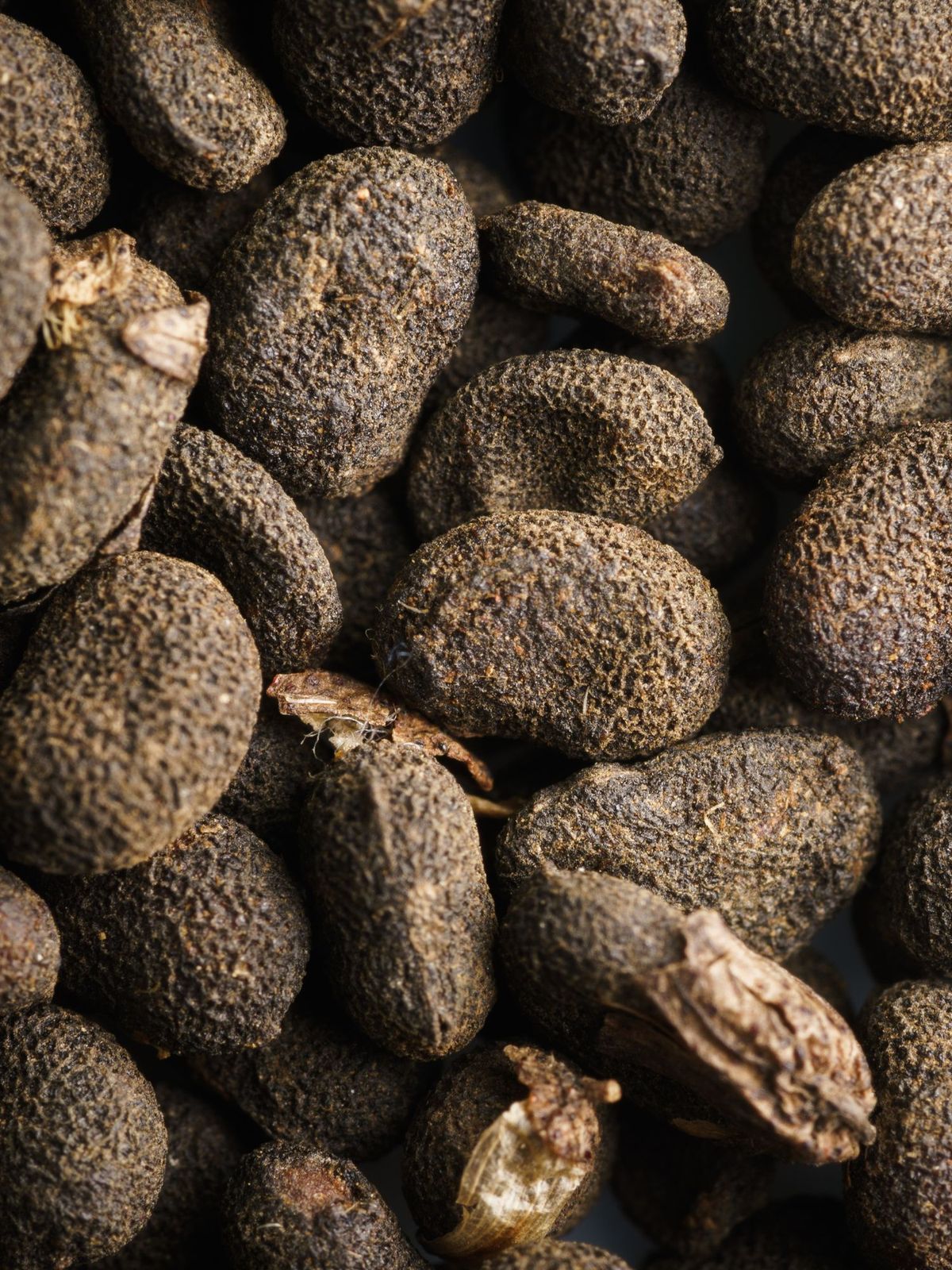 Skincare Science: What is bakuchiol and why is it a winter skin saviour ...