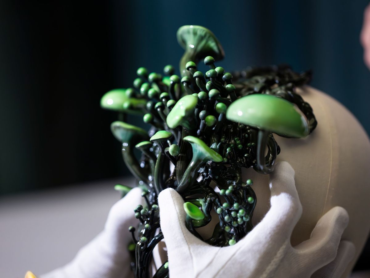 Daniel Del Core walks us through his Björk-approved mushroom dress, on ...