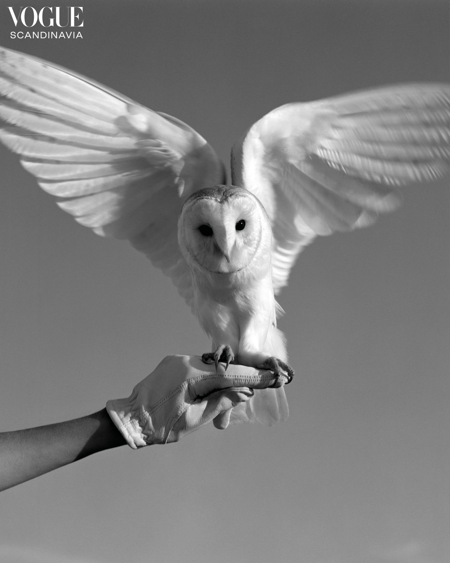 Superfly: Spread your wings and don your best dress this season - Vogue ...