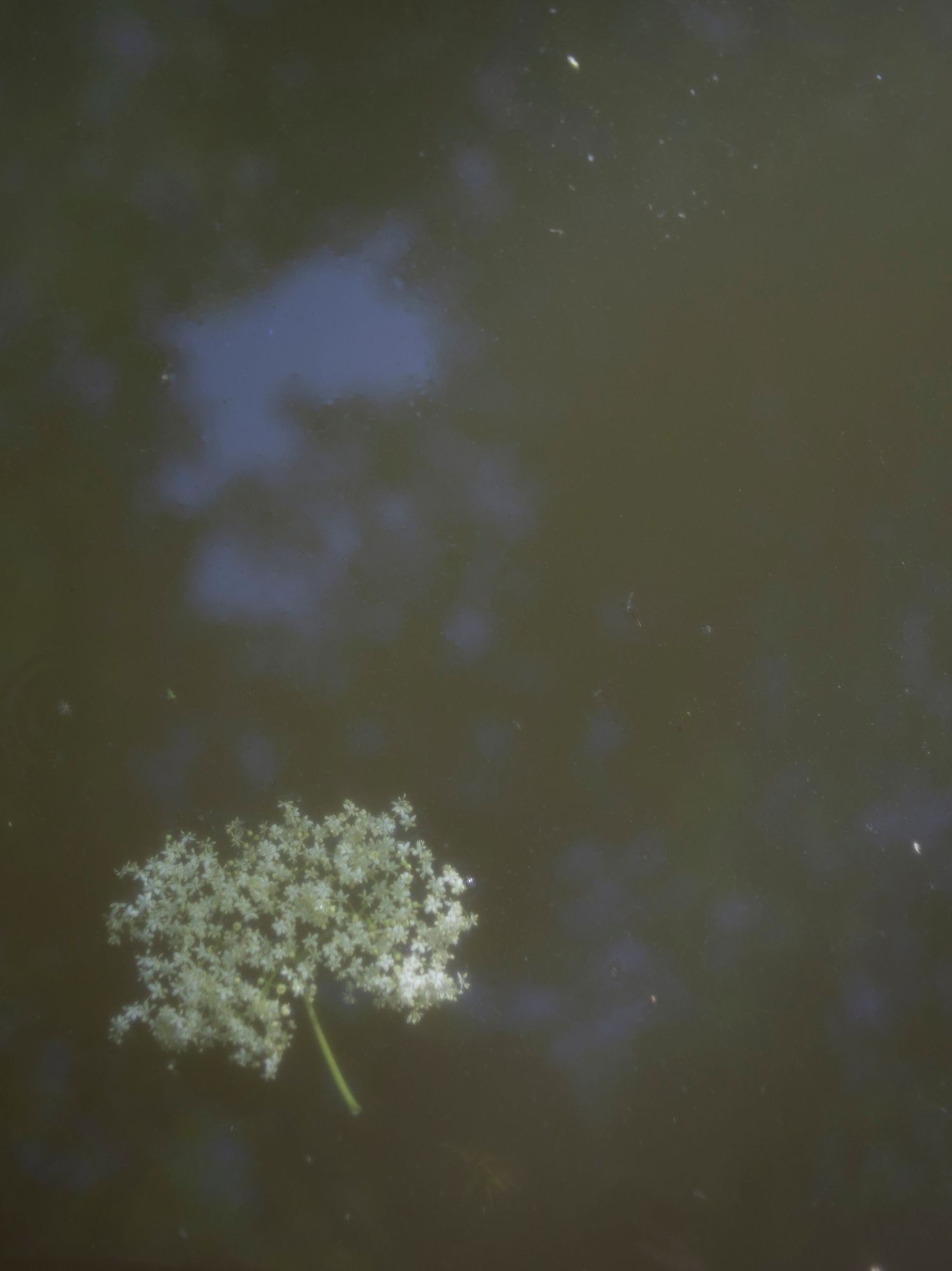 How to be alone on Valentine's Day - Vogue Scandinavia