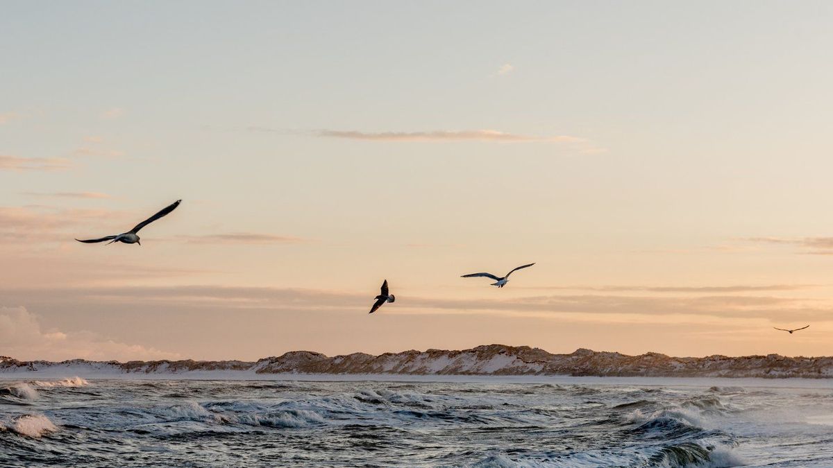 What to do during winter in Denmark - Vogue Scandinavia