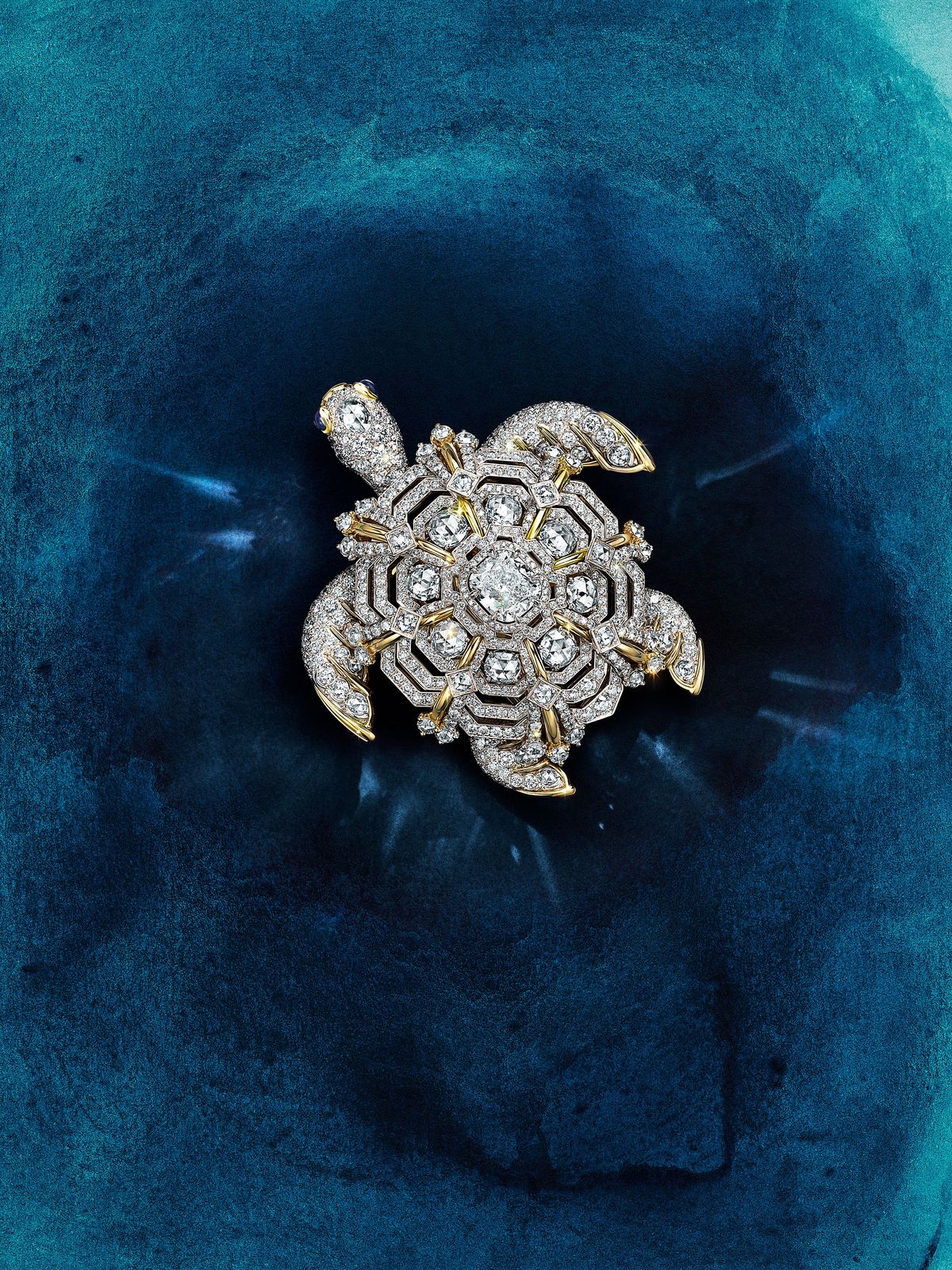 Tiffany & Co.'s releases Blue Book 2025: Sea of Wonder - Vogue Scandinavia